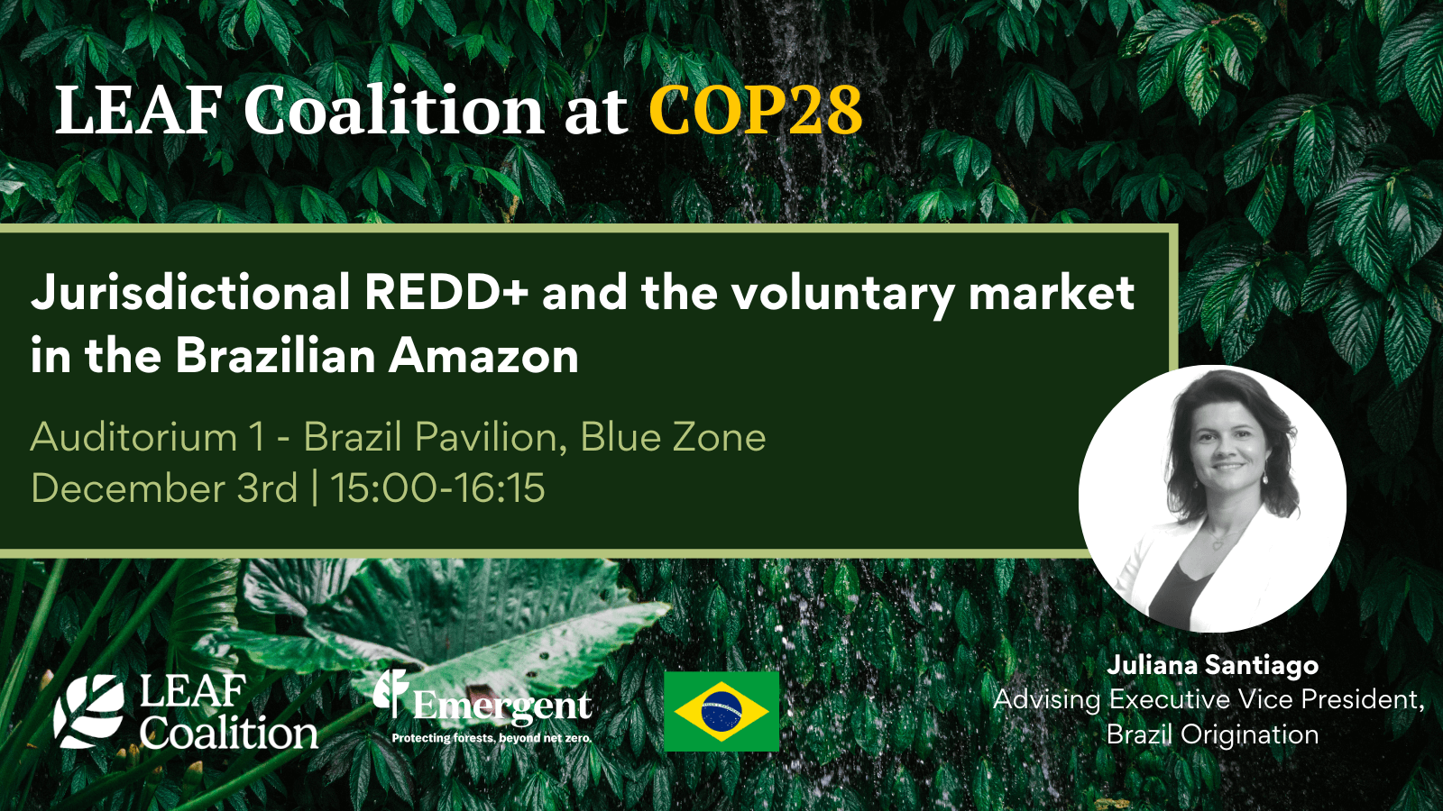 The LEAF Coalition at COP28